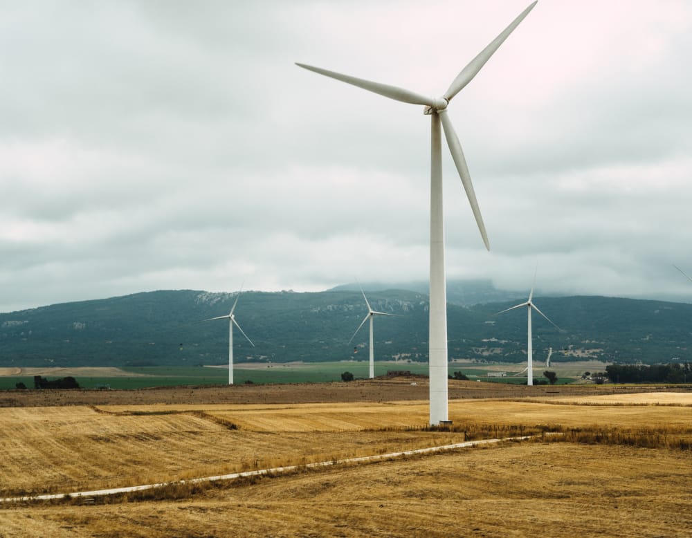 Wind Farms and Wind Projects - Monsson Operation